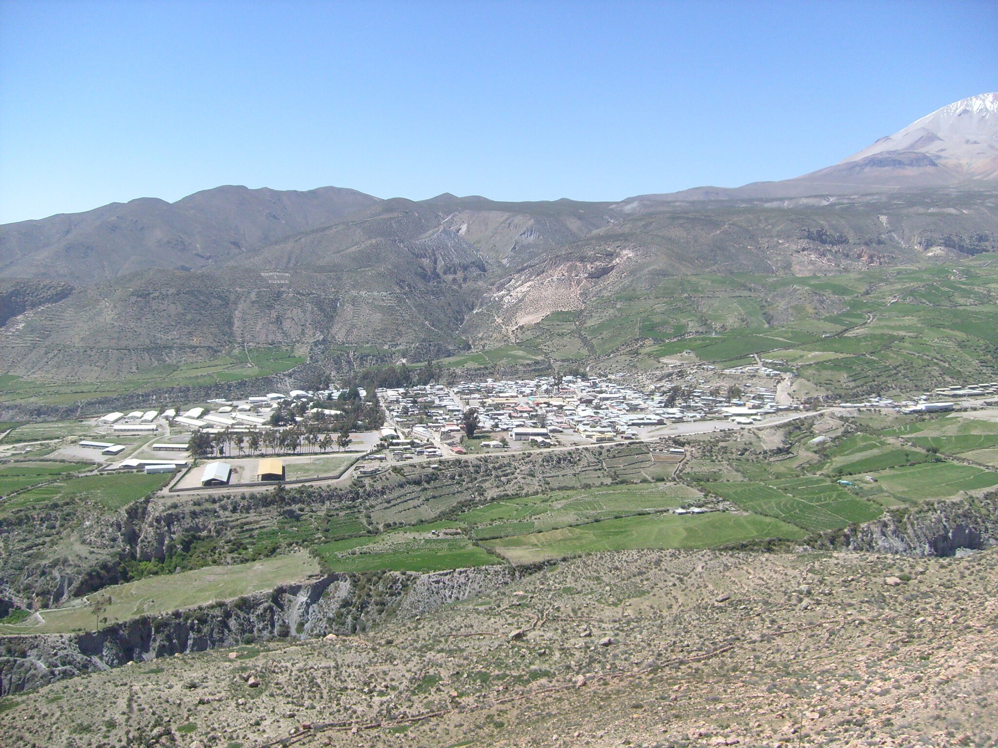 the-highland-ancestors