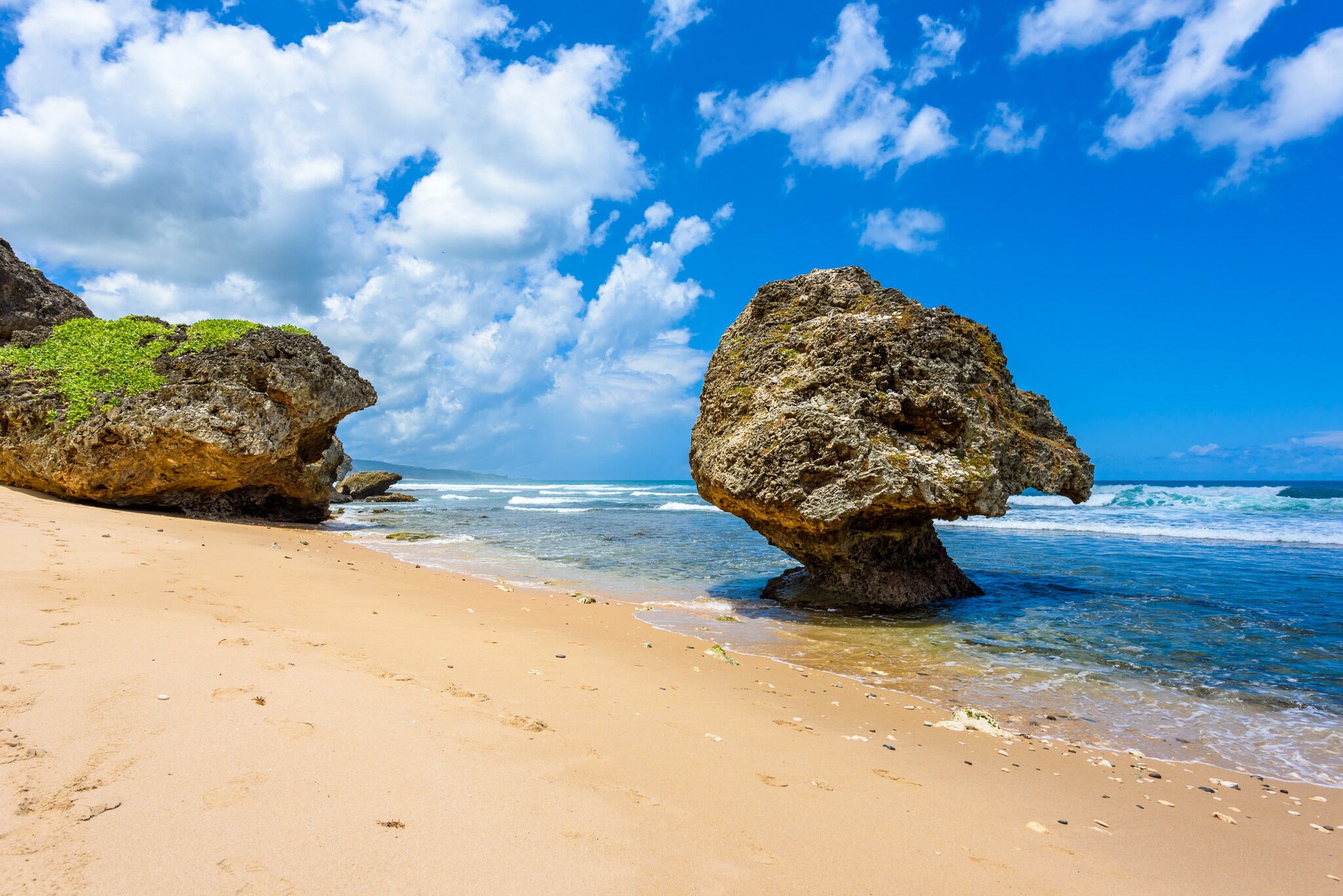 barbados-in-focus-photography-tour