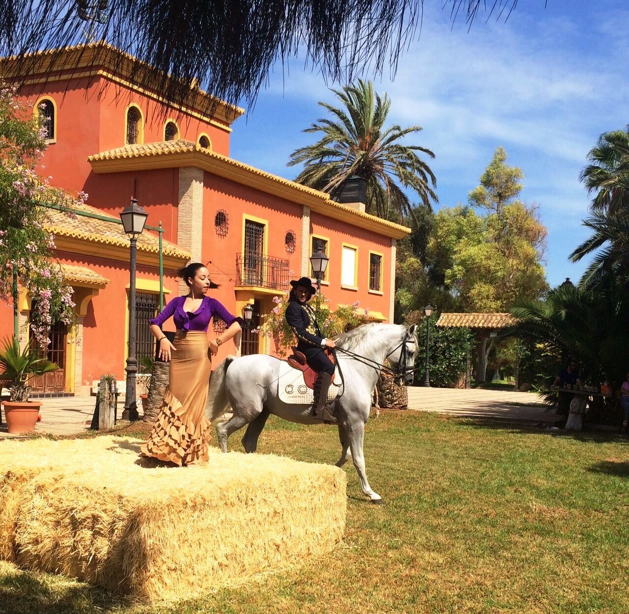 andalusian-horse-ranch-show