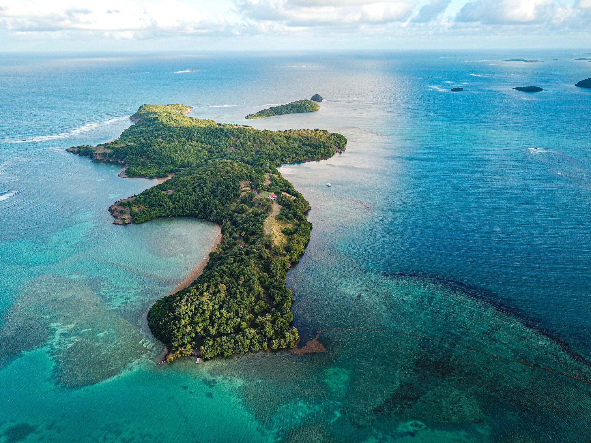 ilet-chancel-getaway-iguanas