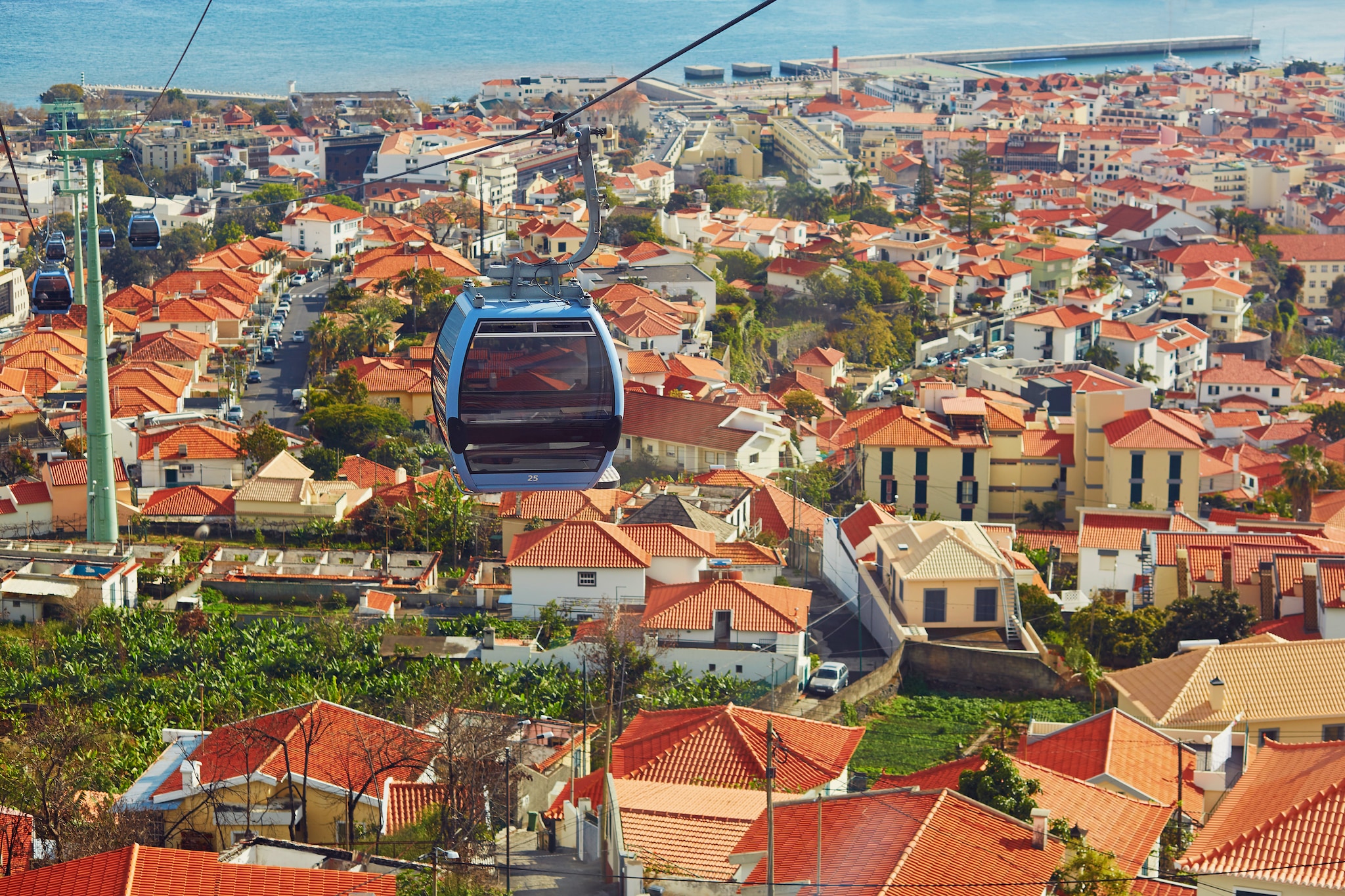 cable-car-and-toboggan