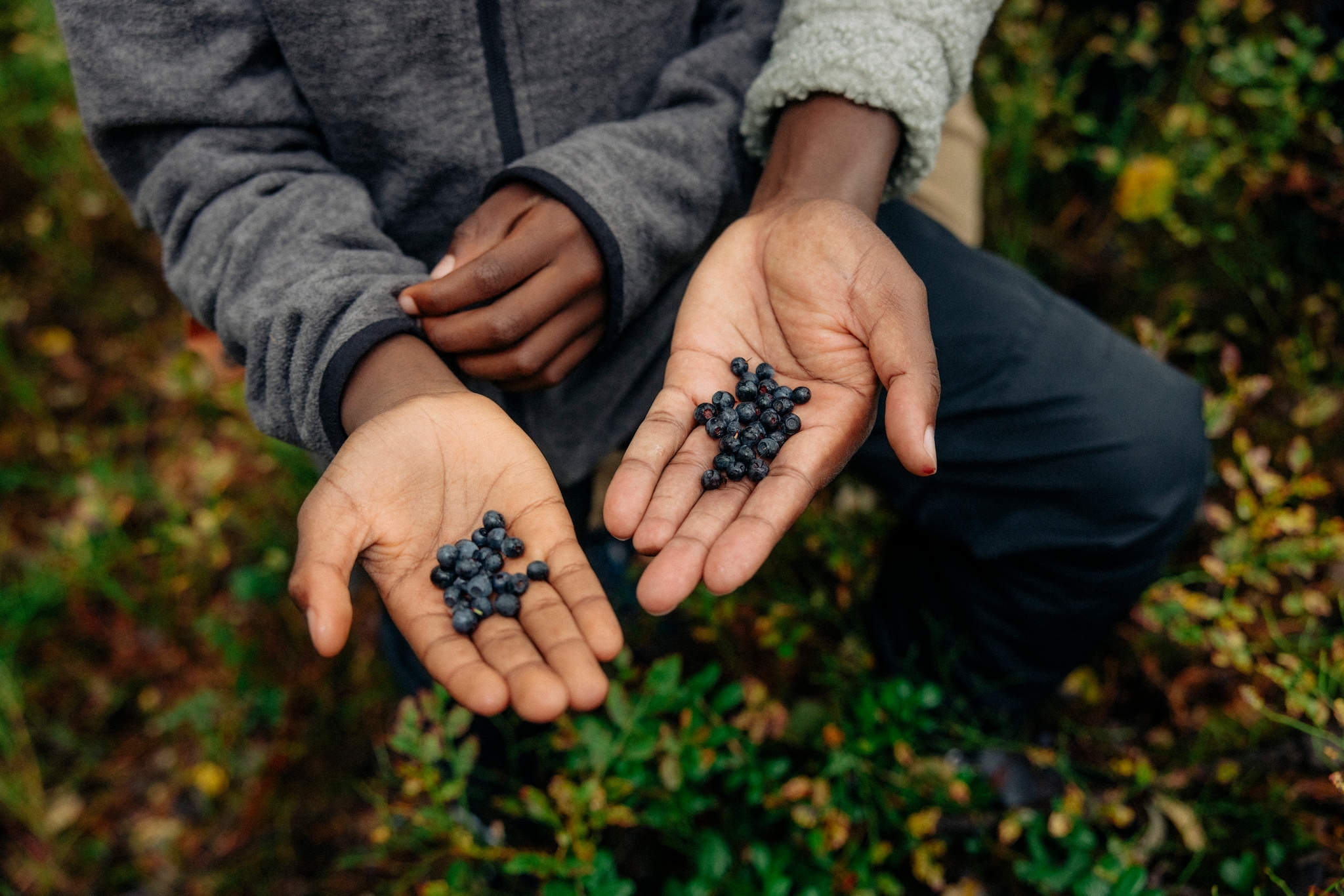 foraging-in-a-finnish-forest