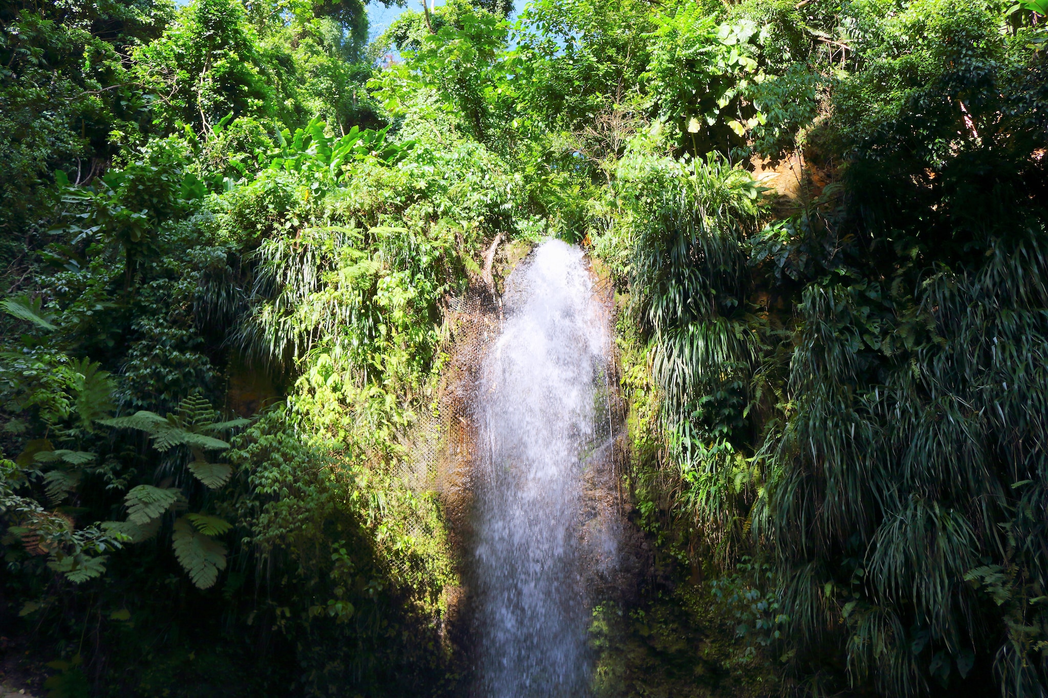 St Lucia Waterfall And Gardens